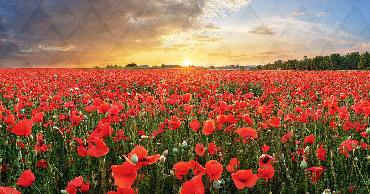 Luddenham Raceway : Outdoor Go Karting, Track Days, Ride Days & Drifting